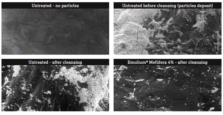 EMULIUM MELLIFERA MB